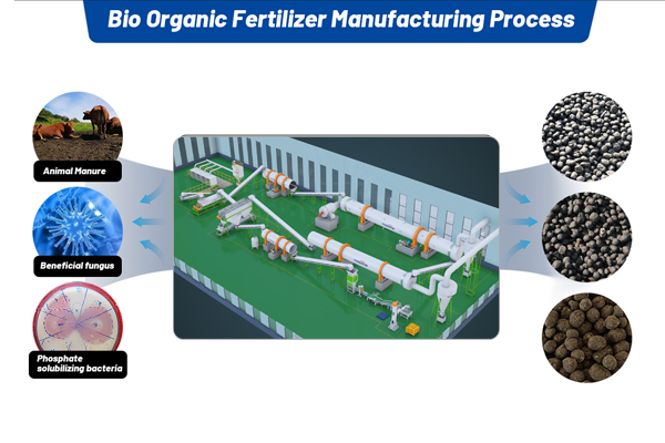 Bio Organic Fertilizer Production Line | Steps | Equipment